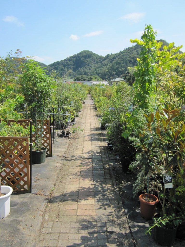 花木センター | BABO Creative Communication