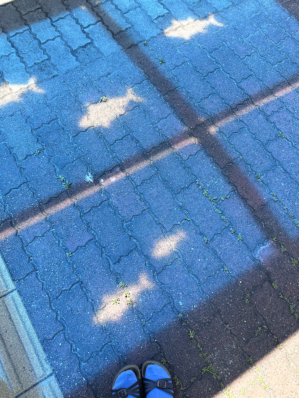 Staff blog | BABO Creative Communication